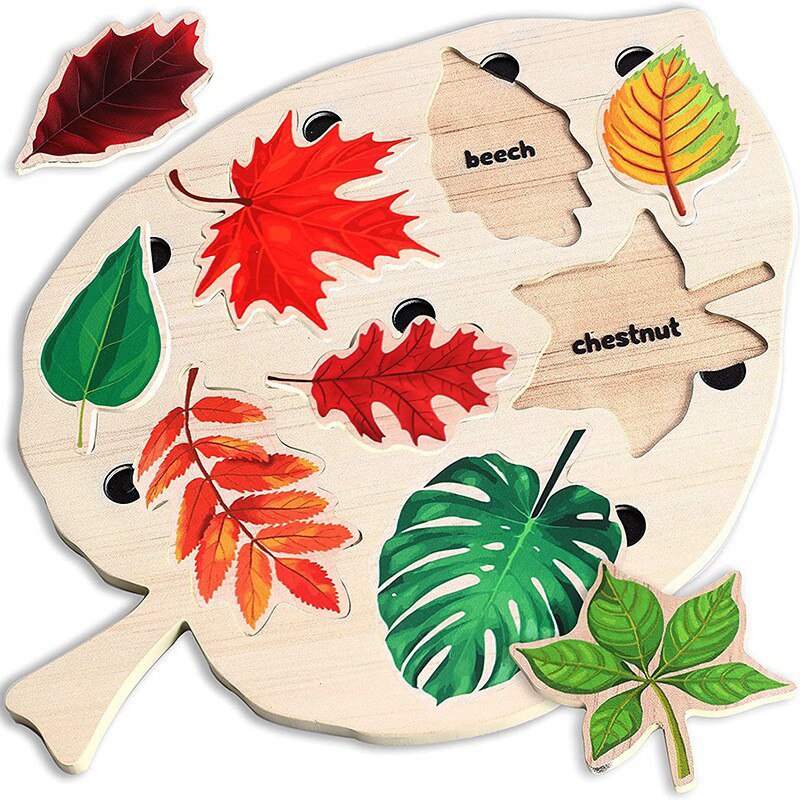 Montessori Leaves™- Educational Leaves – Montessori World™